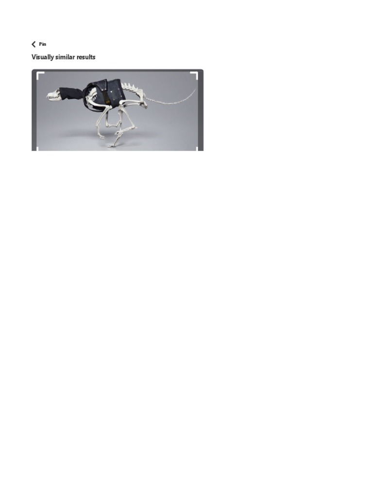 Visually Similar Results | PDF