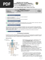 3 Ciencias 7° | PDF | Articulación | Músculo