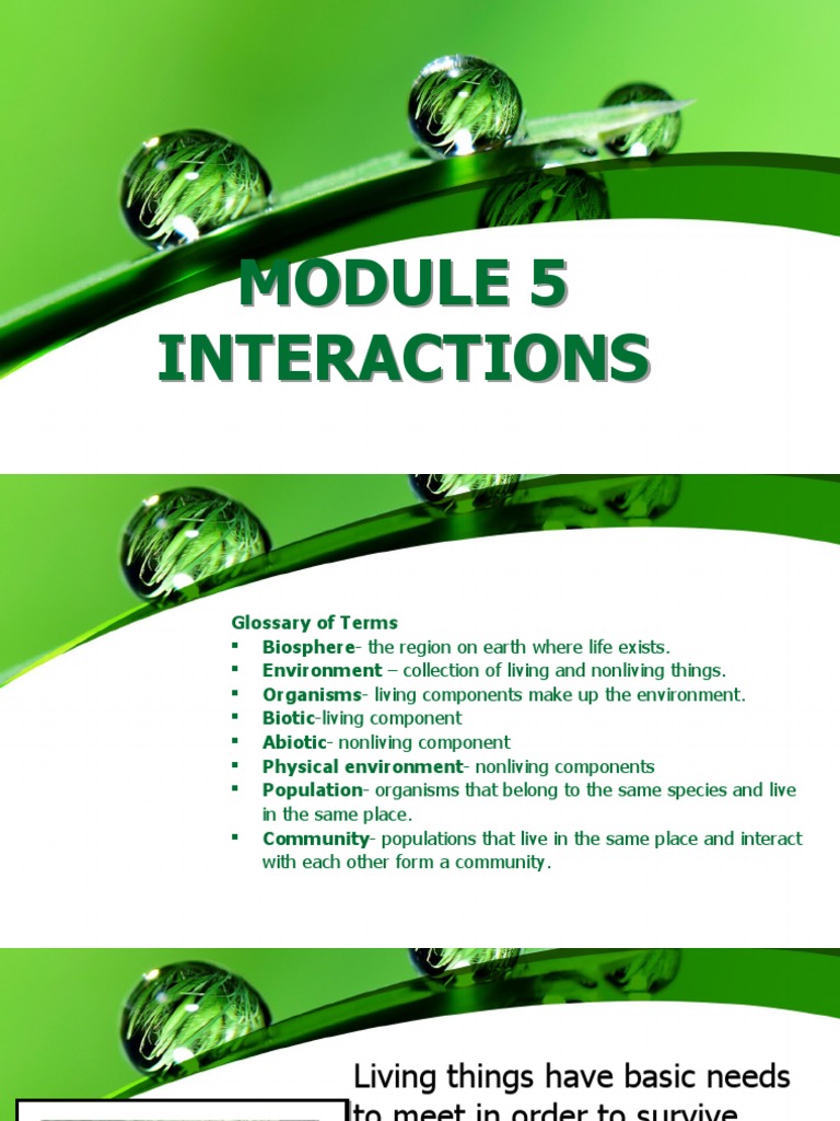 MODULE 5 Interactions | PDF | Parasitism | Predation
