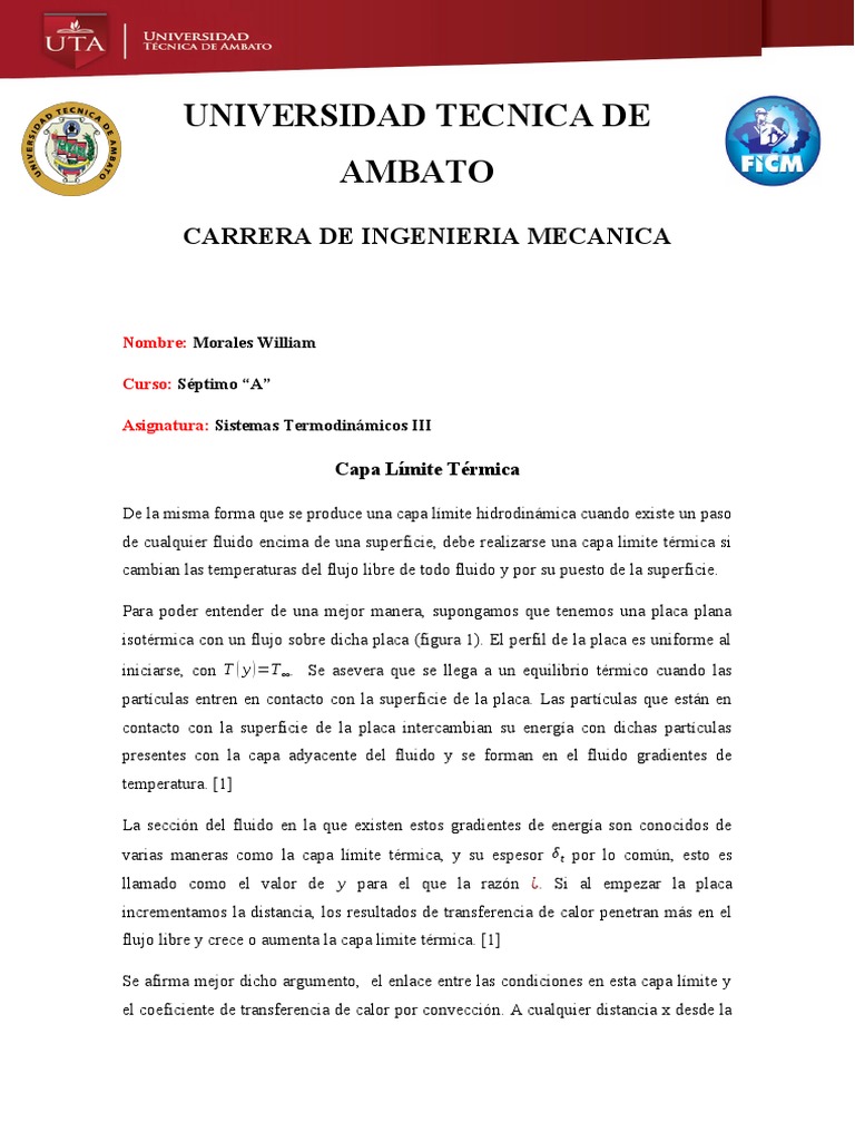 Termodinamica Capa Limite y Capa de Velocidad | PDF | Capa límite ...
