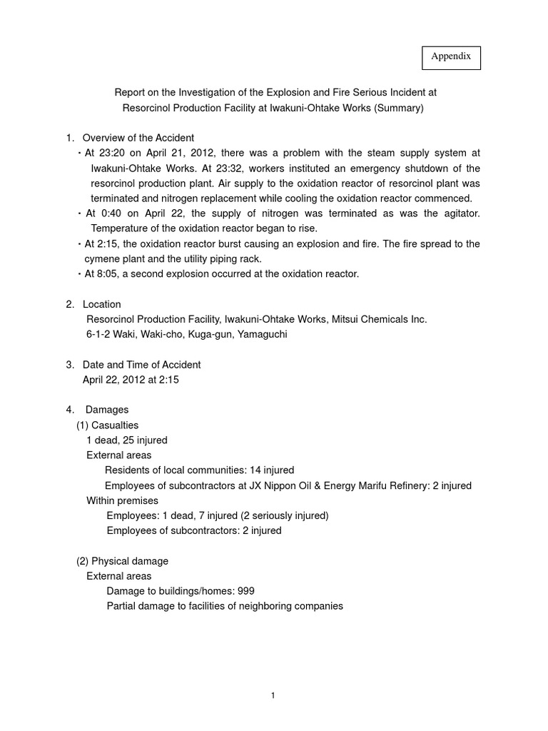 Example Fire Report | PDF | Chemical Reactor | Fires