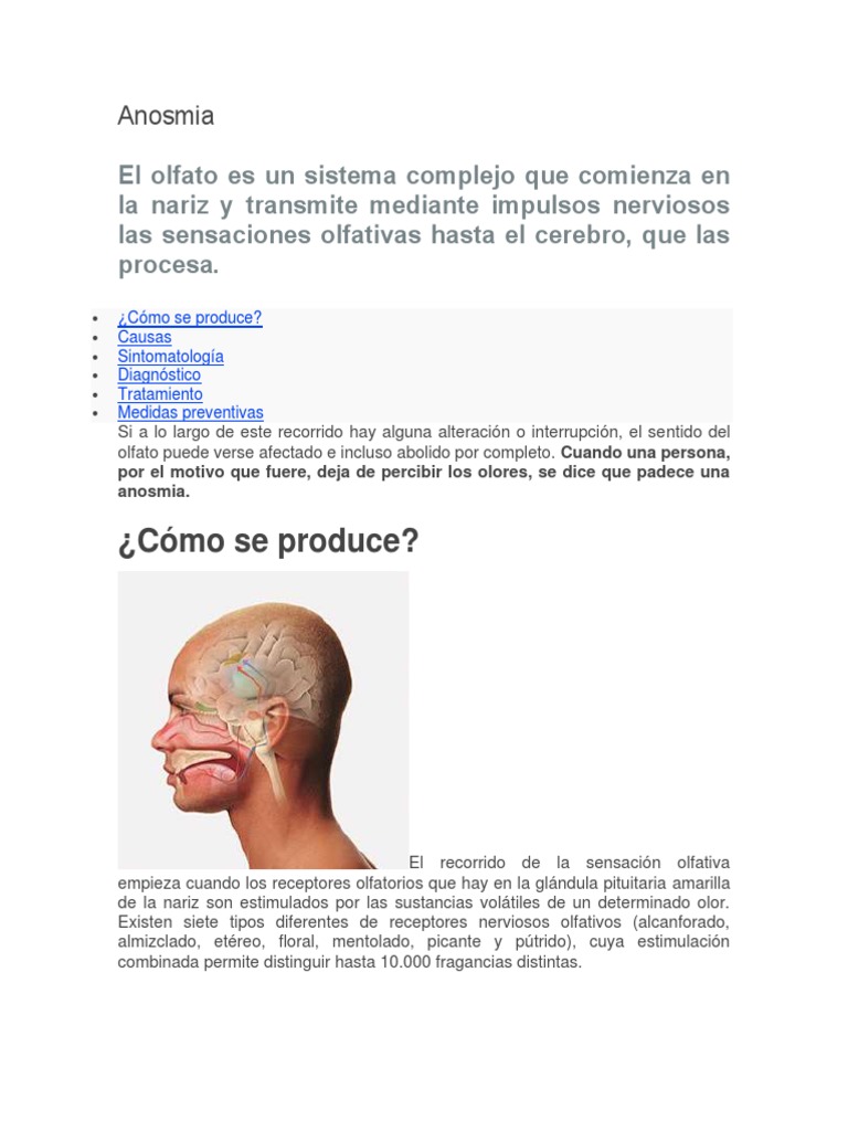 Anosmia Como Se Produce | PDF | Olfato | Enfermedades y trastornos