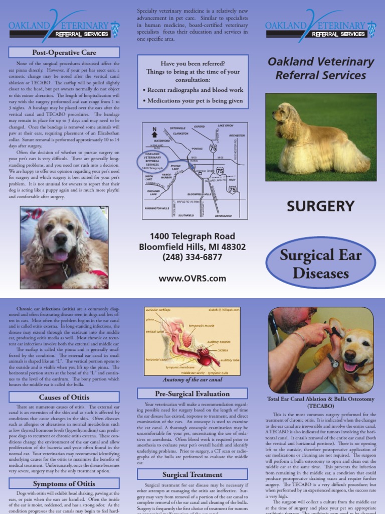 Ear Disease Pamphlet | PDF | Surgery | Ear