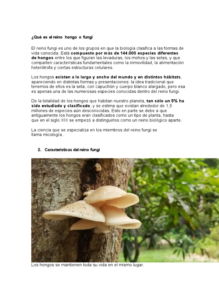 Lo que es el reino fungi | PDF | Hongo | Espora