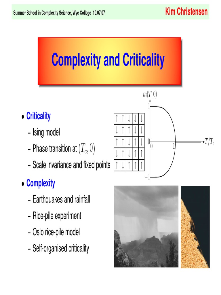Complexity and Criticality | PDF | Earthquakes | Applied Mathematics