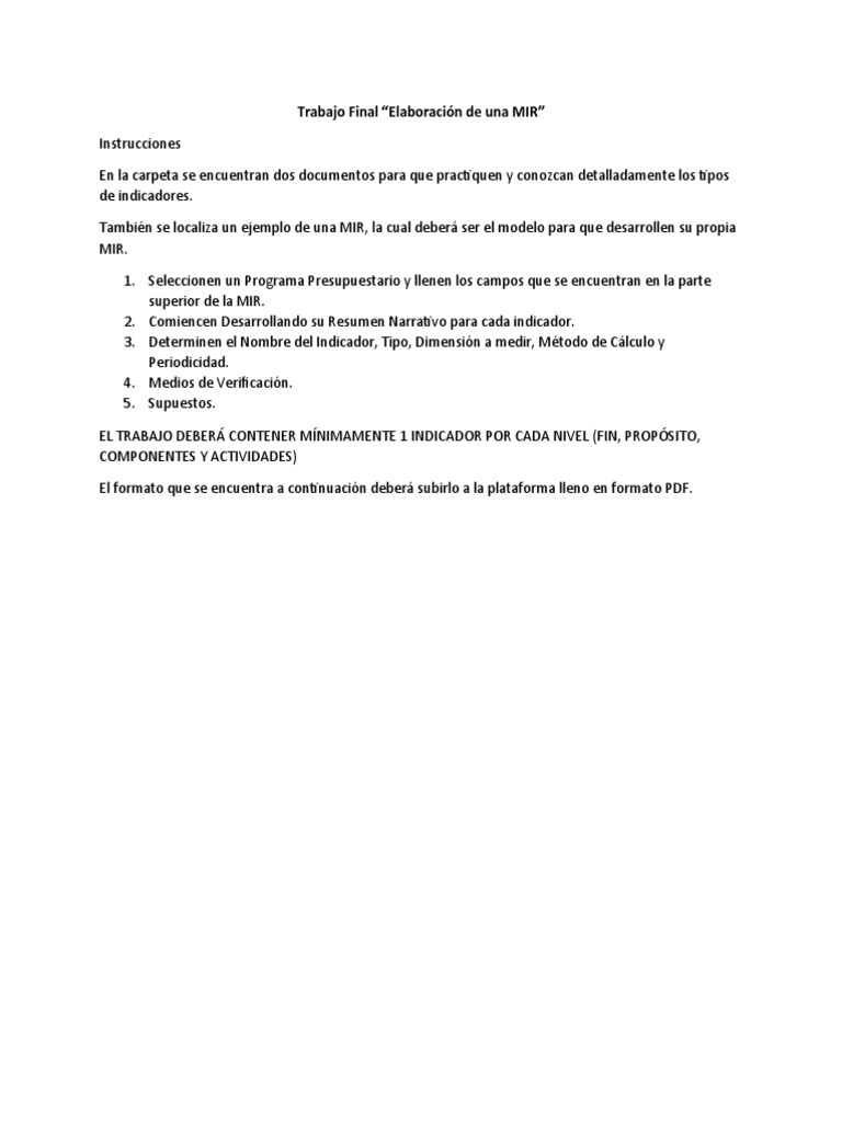 Actividad y Formato para Realizar Una MIR | PDF