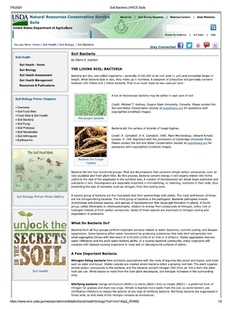 Soil Bacteria - NRCS Soils | PDF