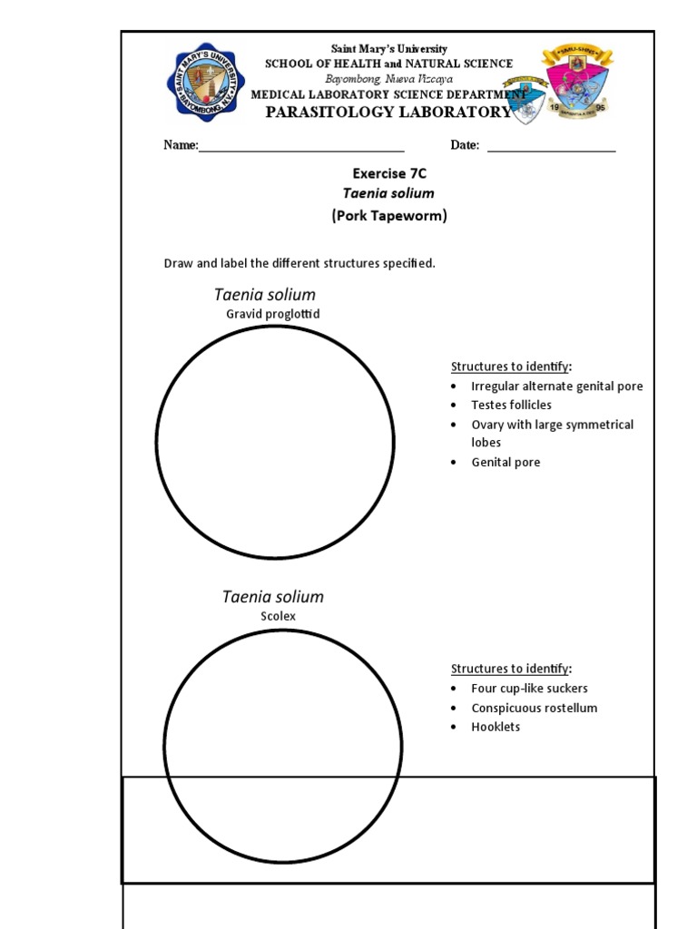 Exercise 7C-Taenia Solium | PDF