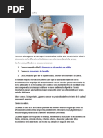 Articulación Coxofemoral | PDF | Rodilla | Anatomía