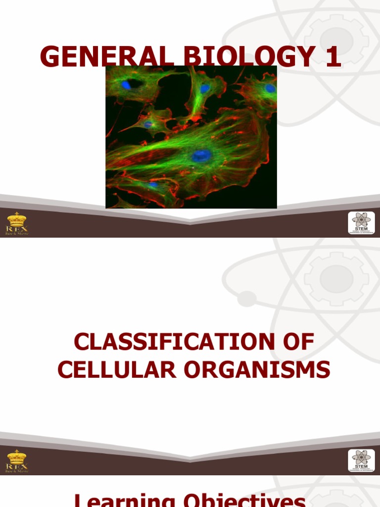 General Biology 1 | PDF | Prokaryote | Cell (Biology)