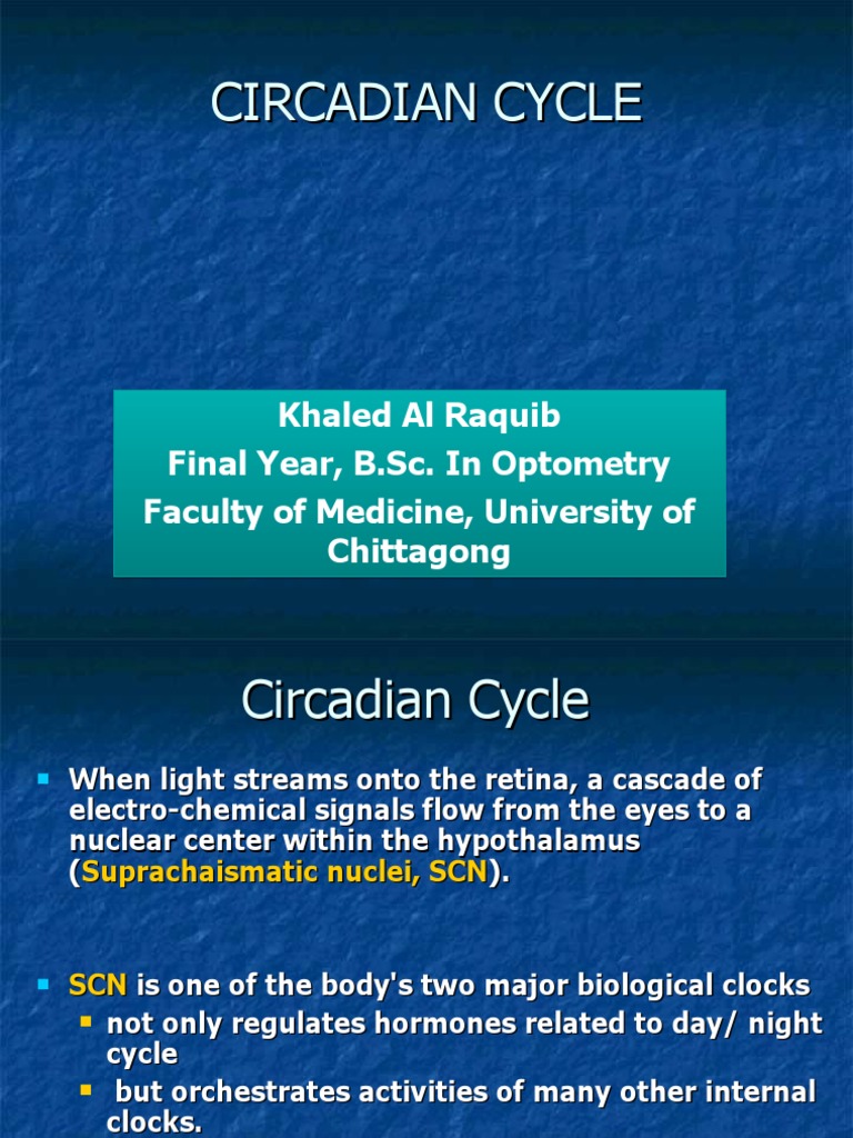 Circadian Cycle | Download Free PDF | Circadian Rhythm | Animal Physiology