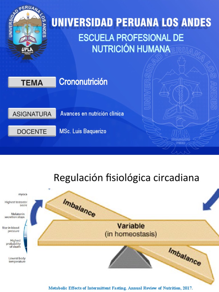 Crononutrición. | PDF | Circadian Rhythm | Clock