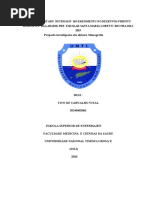 Curriculum Vitae Versaun Tetun | PDF | Indonesia | Idiomas de asia