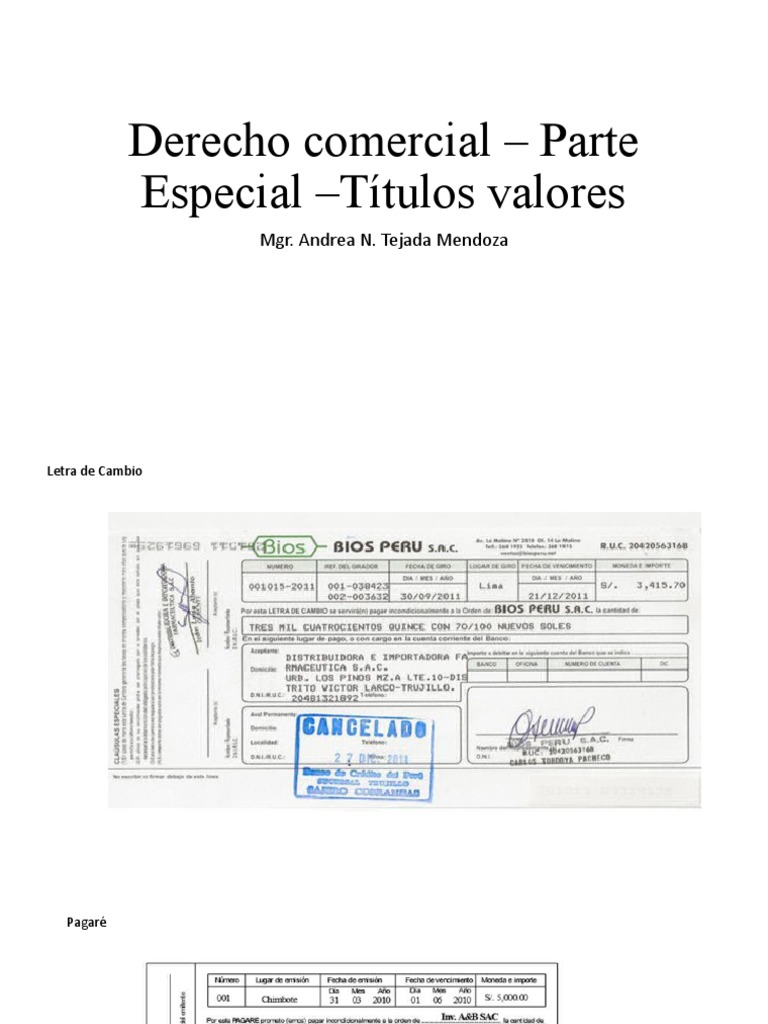 Modelos de Titulos Valores | PDF