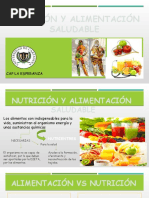 Guía de Alimentación Saludable y Balanceada | PDF | Alimentos | Vegetales