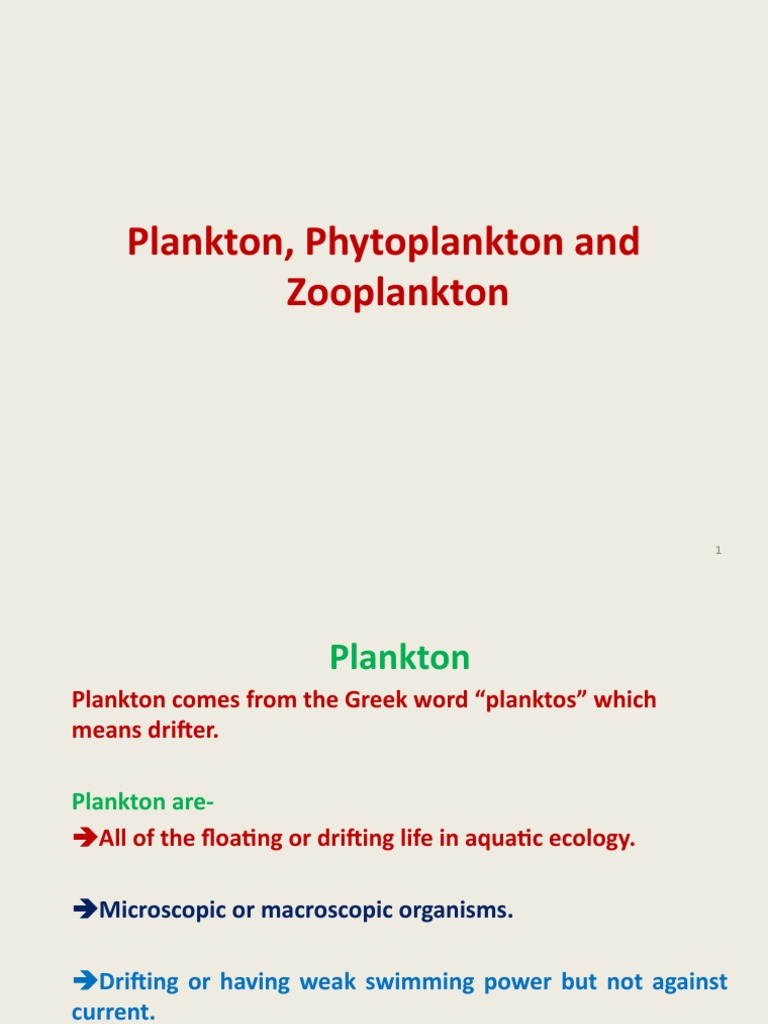 Plankton 2 | PDF | Home & Garden