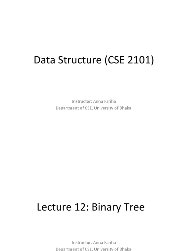 DS - Lecture - 12 (Binary Tree) | PDF | Computer Programming | Theoretical Computer Science