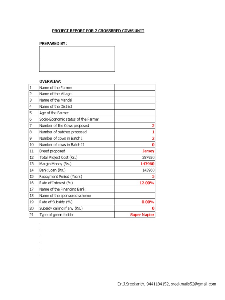 2cbcowprojectreport Pdf Net Present Value Calf 
