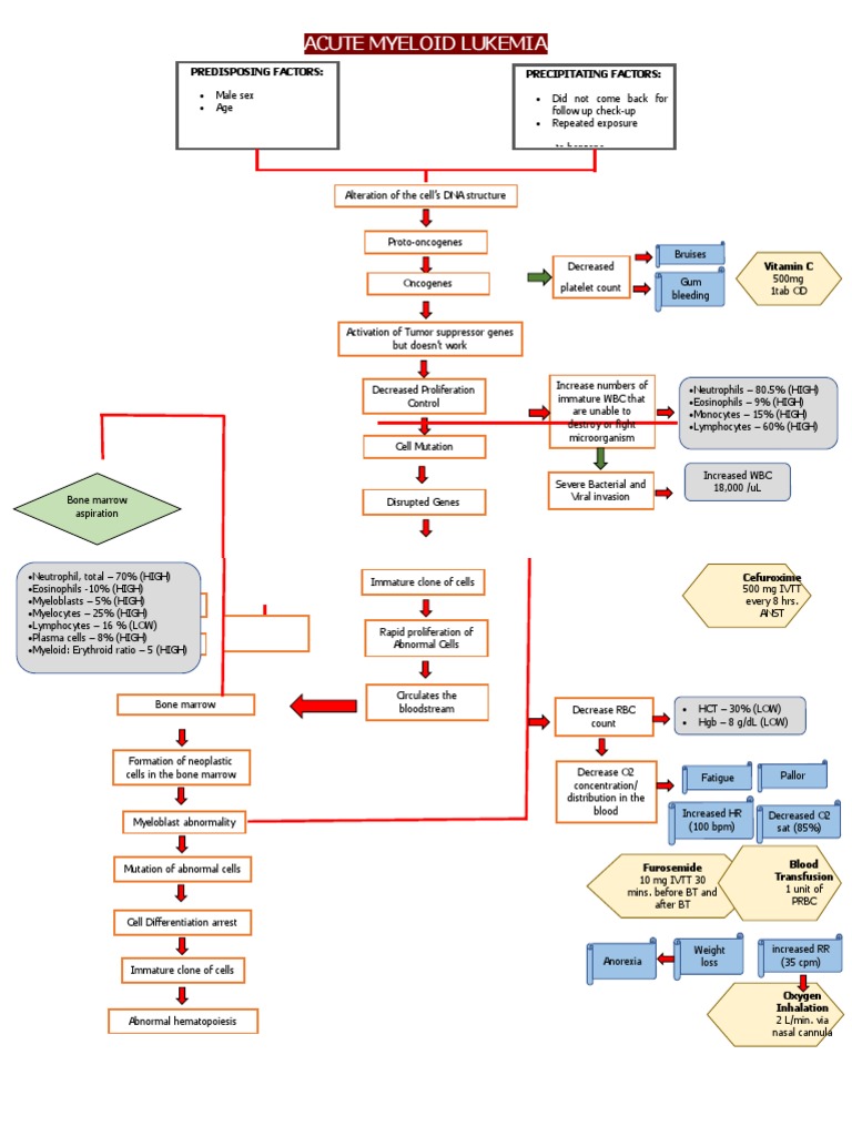 Understanding the Complex Pathophysiology of Acute Myeloid Leukemia ...