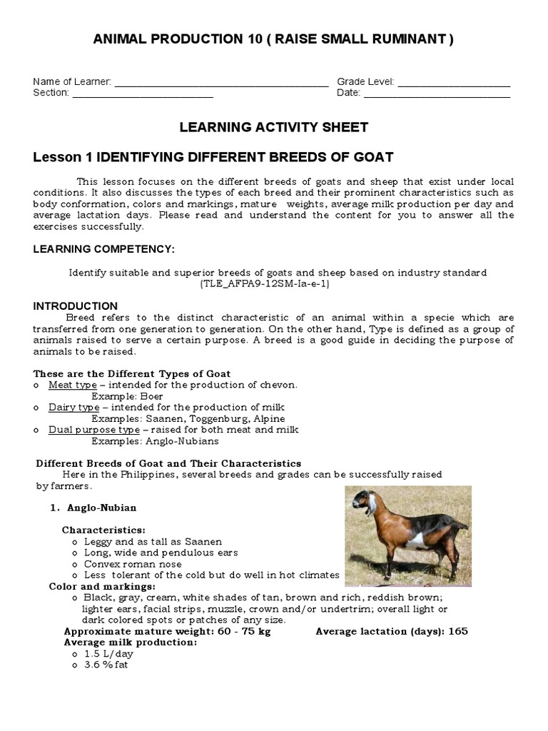 Animal Production 10 (Raise Small Ruminant) : Learning Competency | PDF ...
