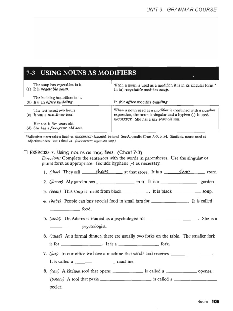 Exercise 7. Using Nouns As Modifiers. (Chart 7-3) : Directions | PDF ...