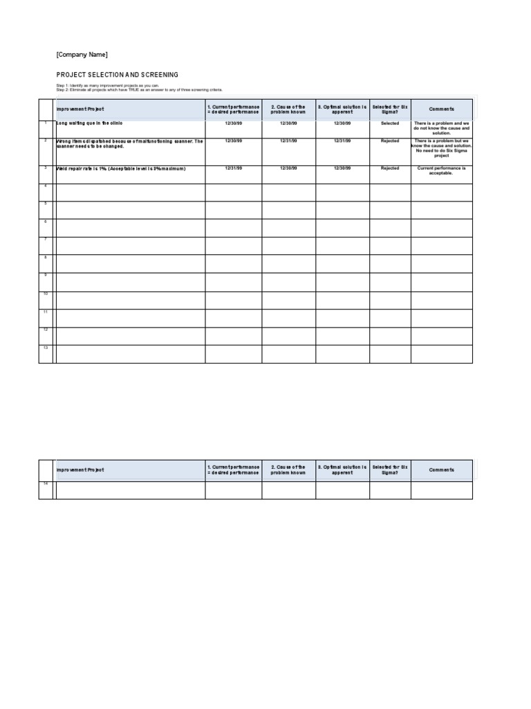 Sample Template Project Selection | PDF | Business