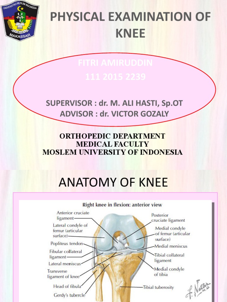 Physical Exam of Knee | PDF | Symptom | Knee
