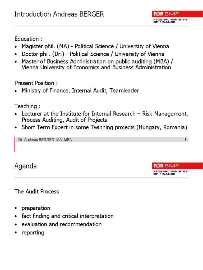 The Audit Process Pdf Audit Master Of Business Administration