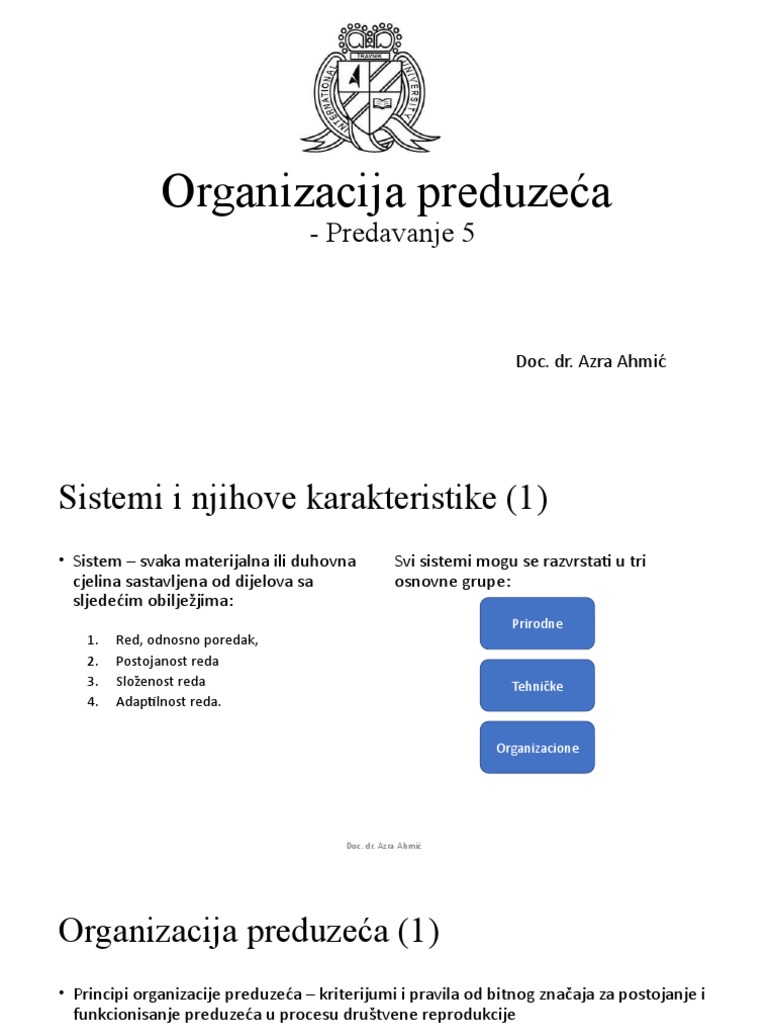 Organizacija Preduzeca | PDF