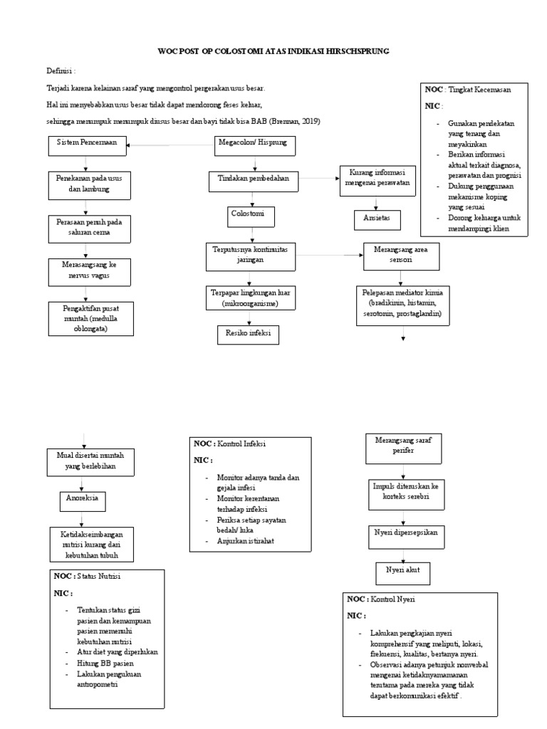 Woc Post Op Colostomi Atas Indikasi Hirschsprung | PDF