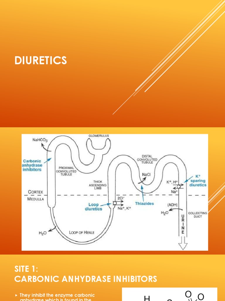 8 - Diuretics | PDF
