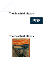 Brachial Plex Easy Diagram | PDF | Science & Mathematics