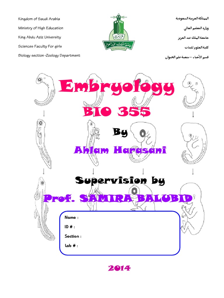 Embryology | PDF | Testicle | Ovary