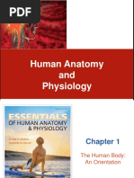 Human Anatomy and Physiology With Pathophysiology | PDF | Anatomical ...