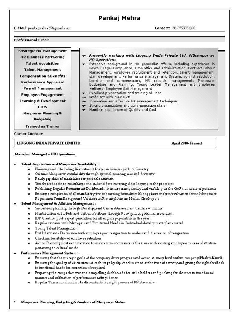 Pankaj Mehra: Presently Working With Liugong India Private LTD ...