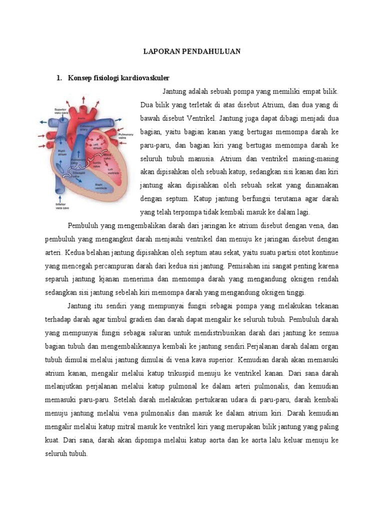 LAPORAN PENDAHULUAN Asd VSD | PDF