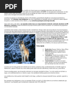 Anexo Lobos Continuemos Estudiando | PDF | Zoología