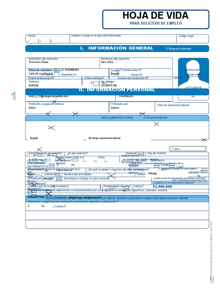 Formato Hoja de Vida Minerva 1003 Word 97 2003 | PDF | Economias | Business