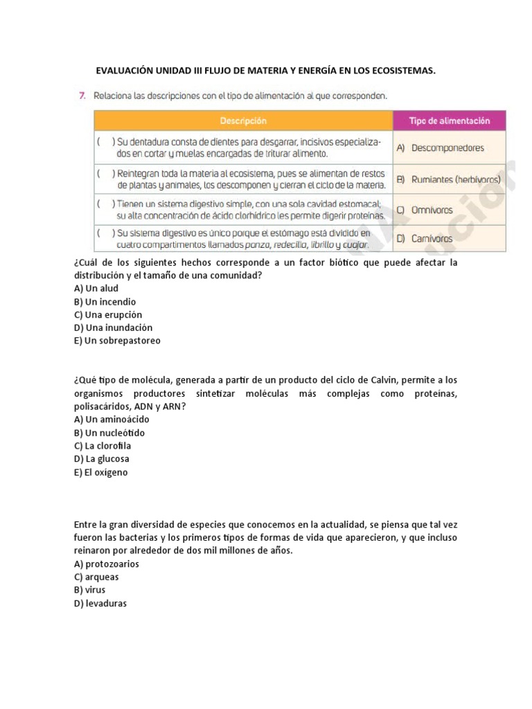 Flujo de Materia y Energía en Ecosistemas | PDF | Organismos | Biología
