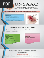 Maniobra de Ritgen | PDF | Parto | Reproducción