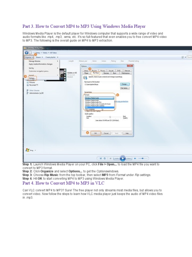 Part 3. How To Convert MP4 To MP3 Using Windows Media Player | PDF