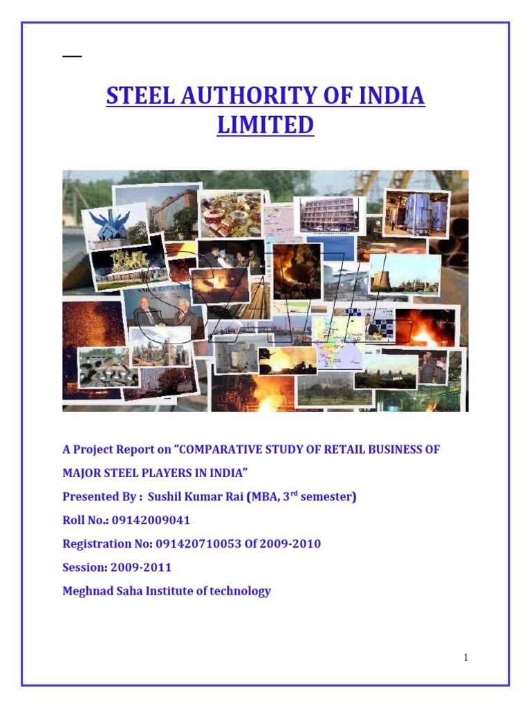 Sushil Rai's Project | PDF | Economies | Business