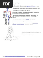 BJD Mechanics: A Beginner's Guide | PDF | Arm | Elbow