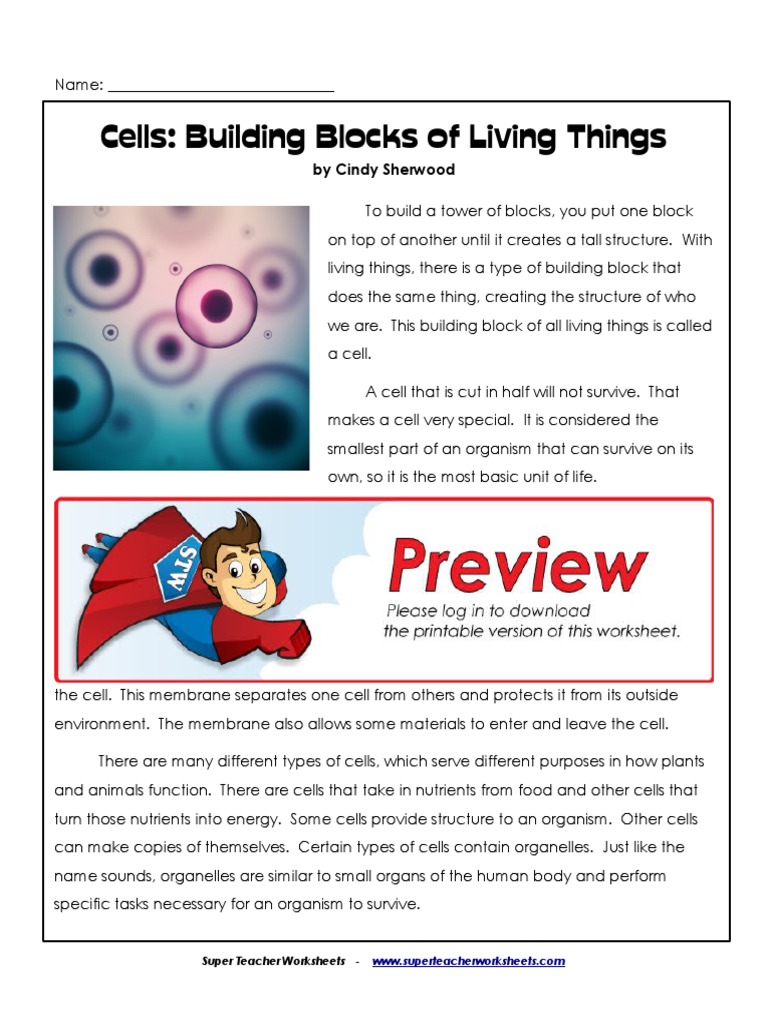 Cells: Building Blocks of Living Things: by Cindy Sherwood | PDF | Cell ...