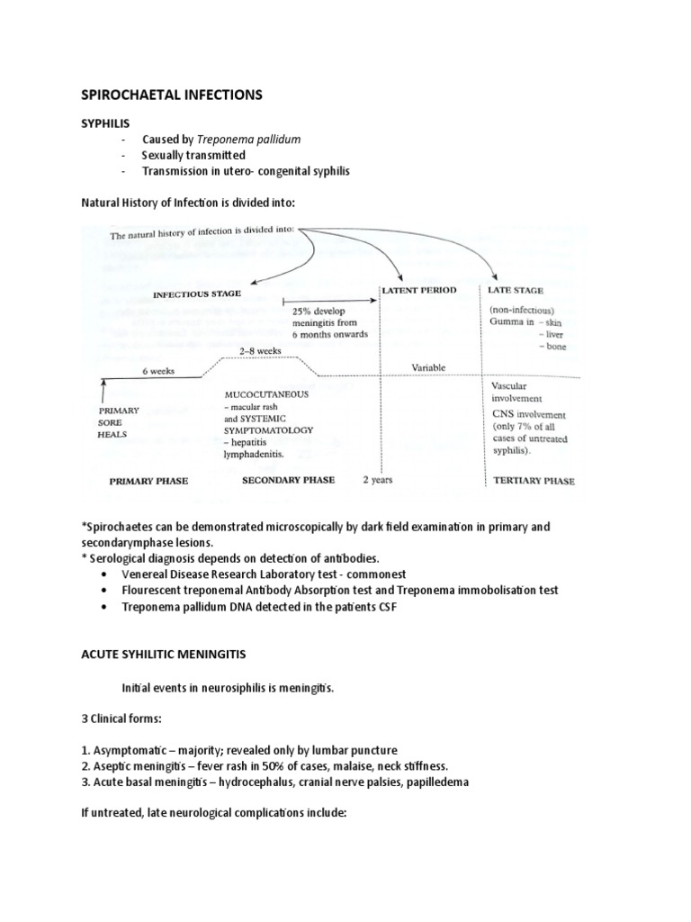 Spirochaetal Infections: Syphilis | PDF | Meningitis | Lyme Disease