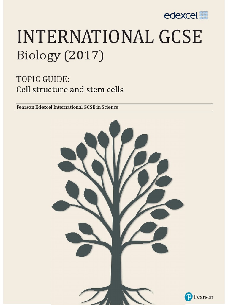 Understanding Cell Differentiation and the Advantages and Disadvantages ...