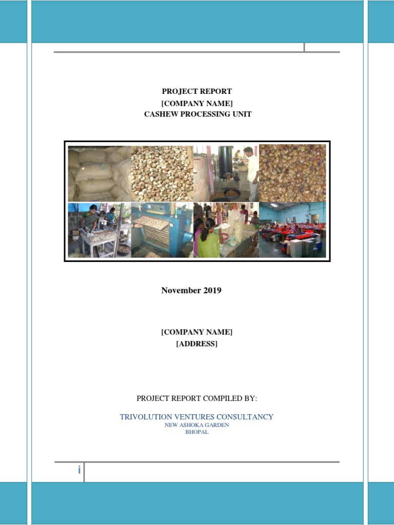 Small - Scale - Cashew - Processing - Sample Project Report | PDF ...