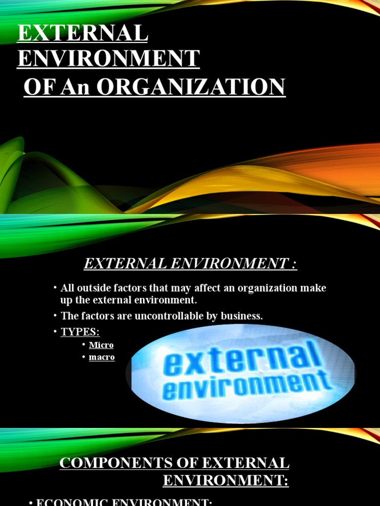 Understanding External Environment Factors | PDF
