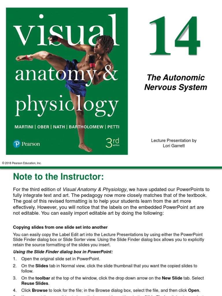 Aand PCH 14 Lecture Pearson | PDF | Autonomic Nervous System | Motor Neuron
