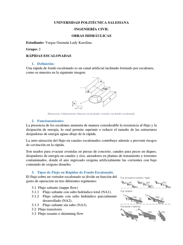 Diseño de Rápidas Escalonadas | PDF | Represa | Ingeniero civil